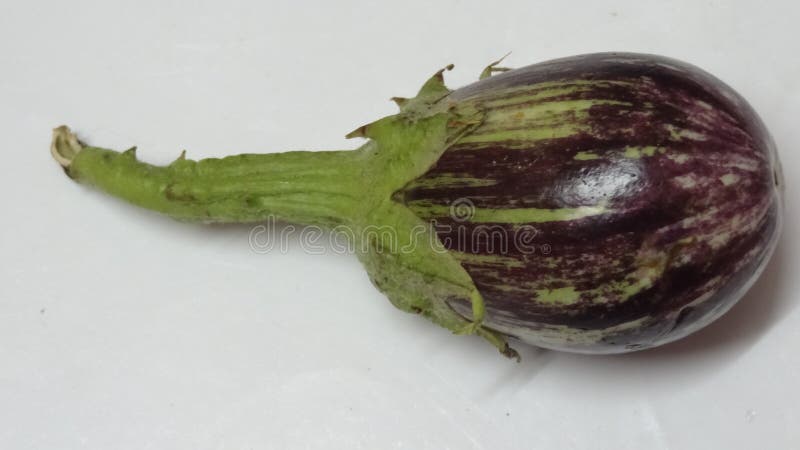 A bringle with its green stock image. Image of face - 197004869