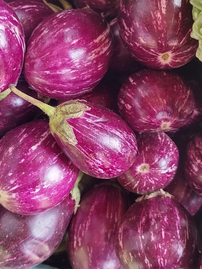 200 Brinjal Violet Flower Stock Photos - Free & Royalty-Free Stock ...