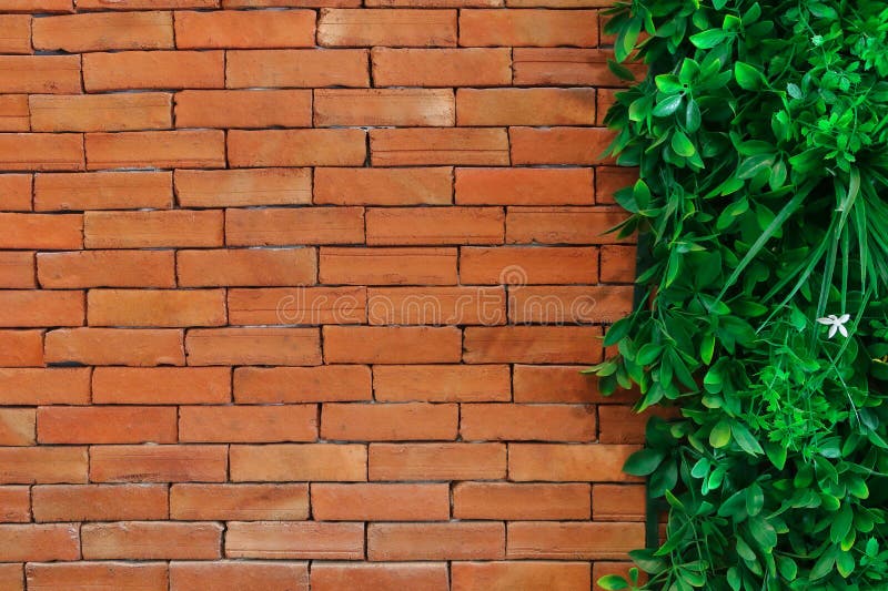 Brink Wall with Green Leaves for Background and Design. Stock Image ...