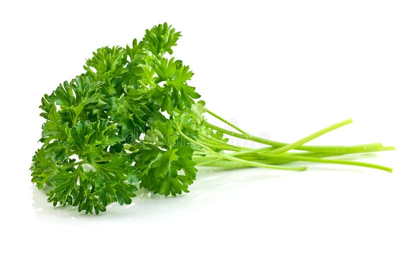 Brins frais de persil photo stock. Image du closeup, culinaire - 38837266