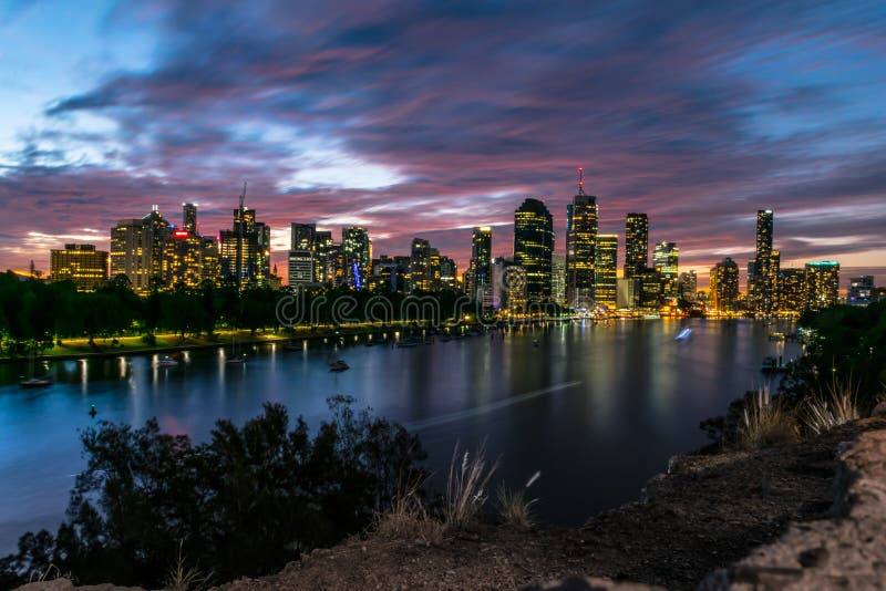 Brisbane Kangaroo stock image. Image of ears, animal, boxing - 6468317