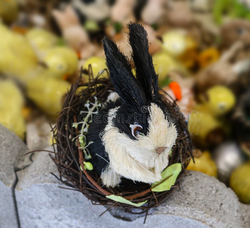 Bristle Brush Toy Decorative Black and White Bunny Rabbit in Next ...