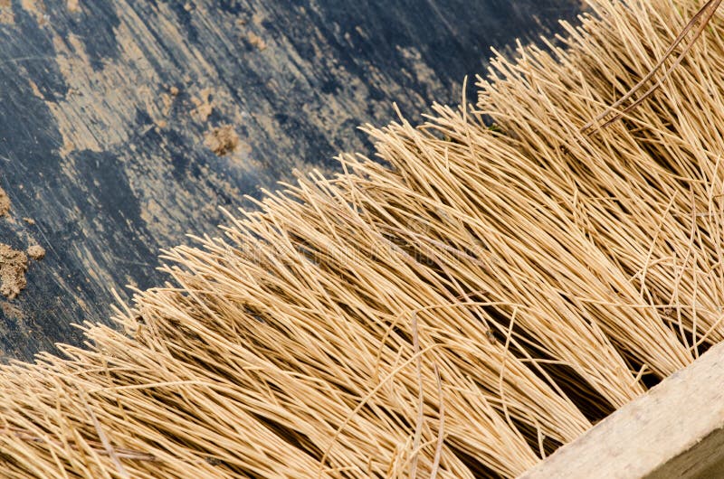 Bristle texture stock photo. Image of health, bristle - 39300894