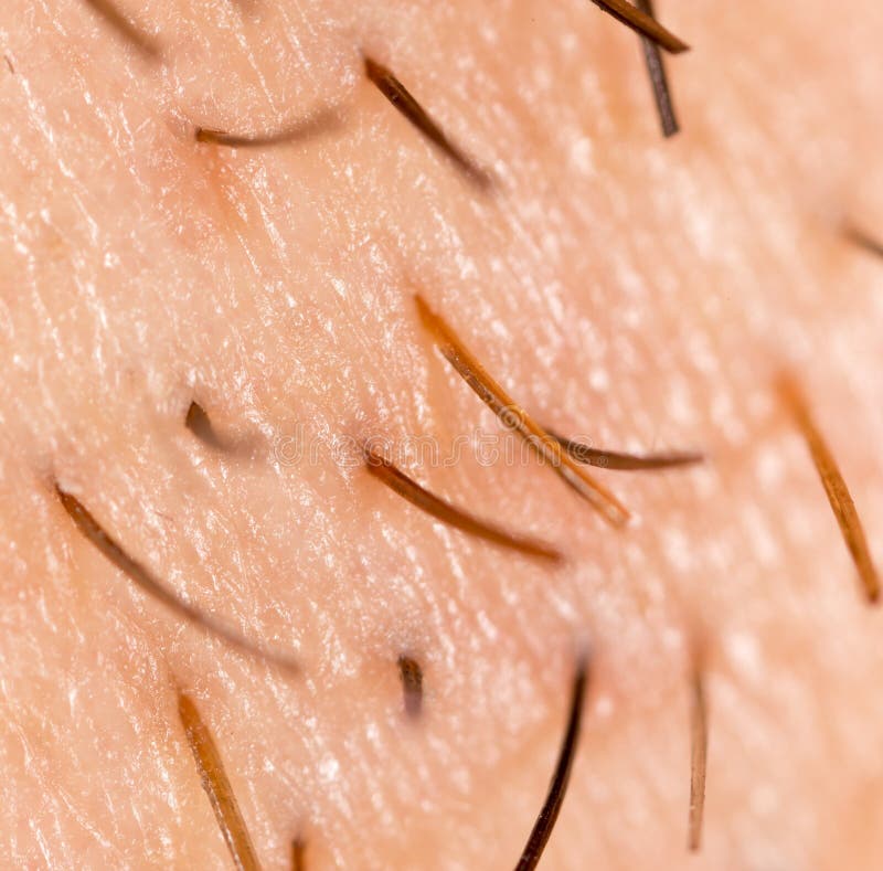 Bristles on the Beard of a Man Stock Photo - Image of skin, detail ...