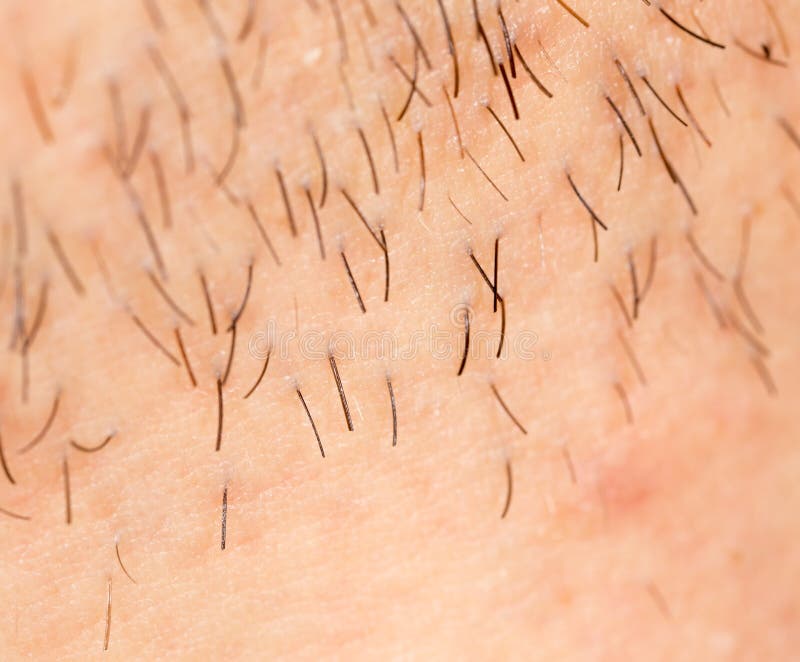 Bristles on the Beard of a Man Stock Image - Image of macro, face ...