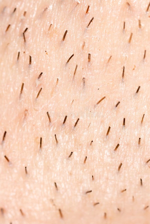 The Bristles on the Skin. Macro Stock Image - Image of stubble, color ...
