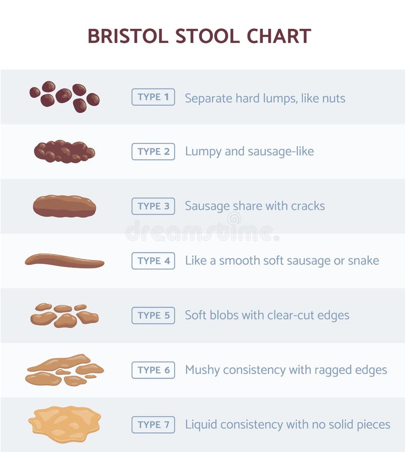 Bristol Stool Chart for Faeces Type Classification, Flat Vector ...