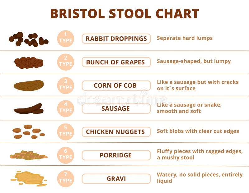 Bristol Stool Scale, Poop Types Infographic. Digestive Problems Medical ...