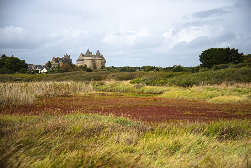 Britain Landscape with Castle and Swamp Stock Photo - Image of history ...