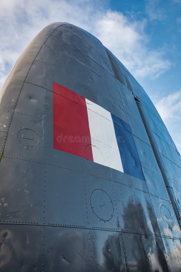 Tial Fin Stock Photos - Free & Royalty-Free Stock Photos from Dreamstime