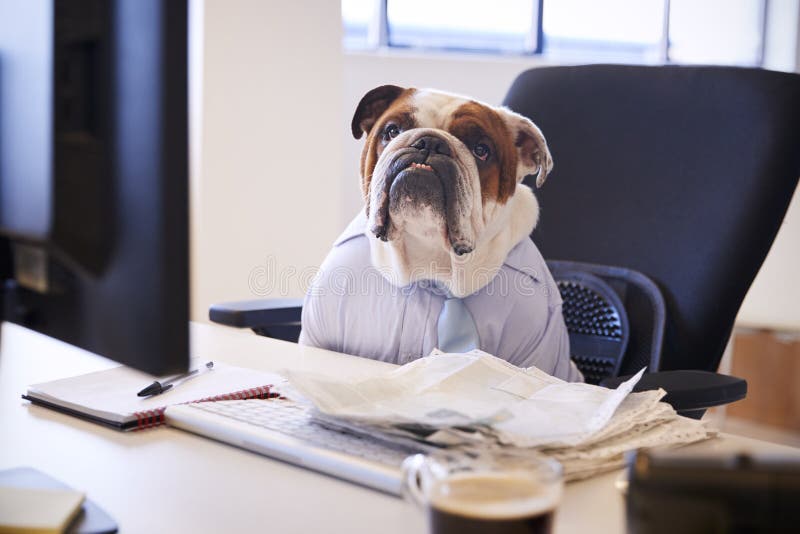 603 Bulldog Computer Photos - Free & Royalty-Free Stock Photos from ...