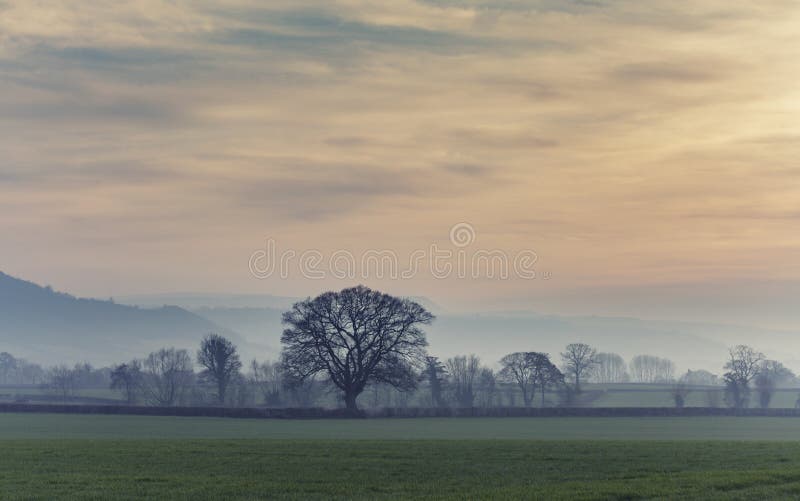 British Countryside Fields at Hazy Sunset Stock Photo - Image of foggy ...