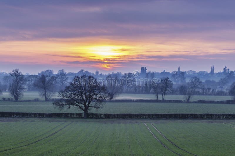 British Countryside Fields at Hazy Sunset Stock Photo - Image of light ...
