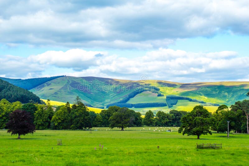 British Landscape in Summer Stock Photo - Image of fields, landscape ...
