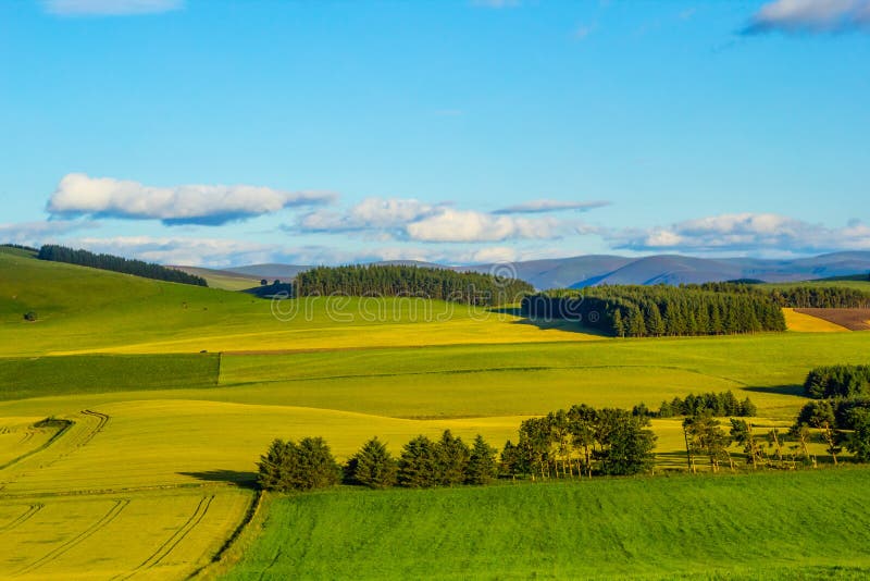 British Landscape in Summer Stock Image - Image of color, britain: 66738005