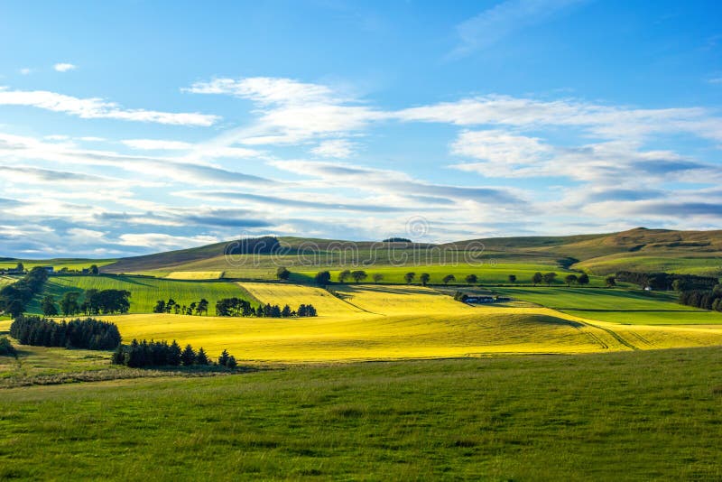 British Landscape in Summer Stock Photo - Image of grass, fields: 66738220