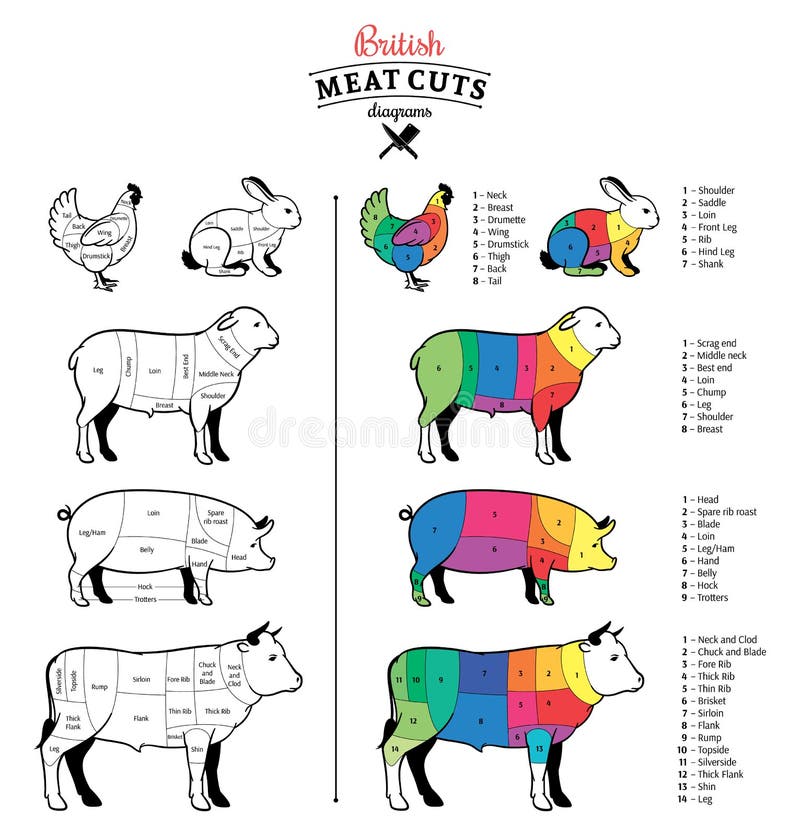 British Meat Cuts Diagrams stock vector. Illustration of knife - 58651747