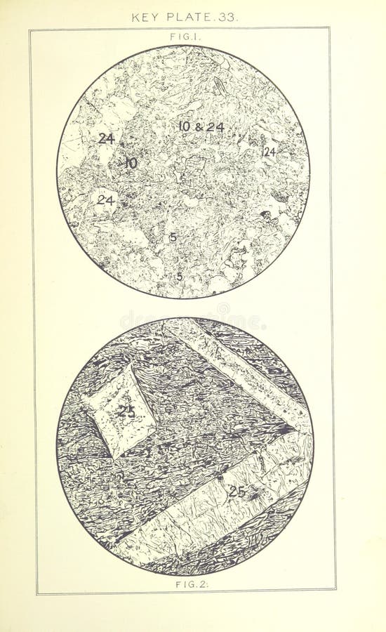 British Library Digitised Image From Page 593 Of "British Petrography ...