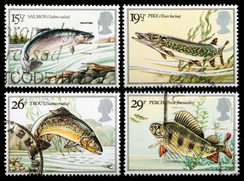 British River Fish Postage Stamps Editorial Stock Image - Image of pike ...