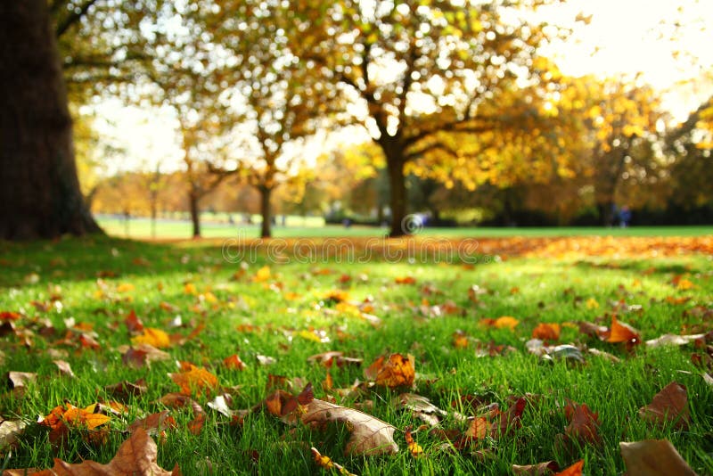 British Rural Atmosphere Scenic. Stock Photo - Image of landscape ...