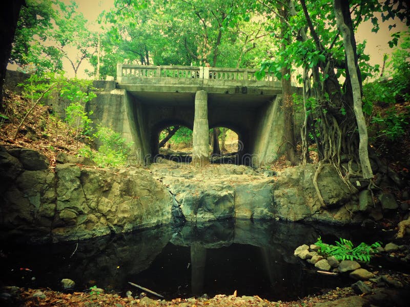 British Time Bridge of Melghat Tiger Reserve. Stock Image - Image of ...