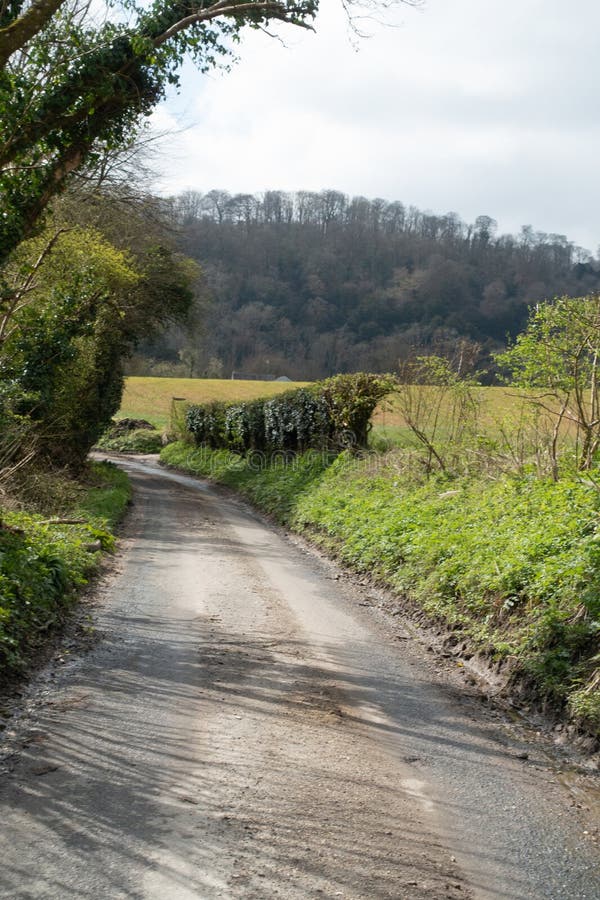 British Woodland Scenery Walk through a Walking Trail with Path Stock ...