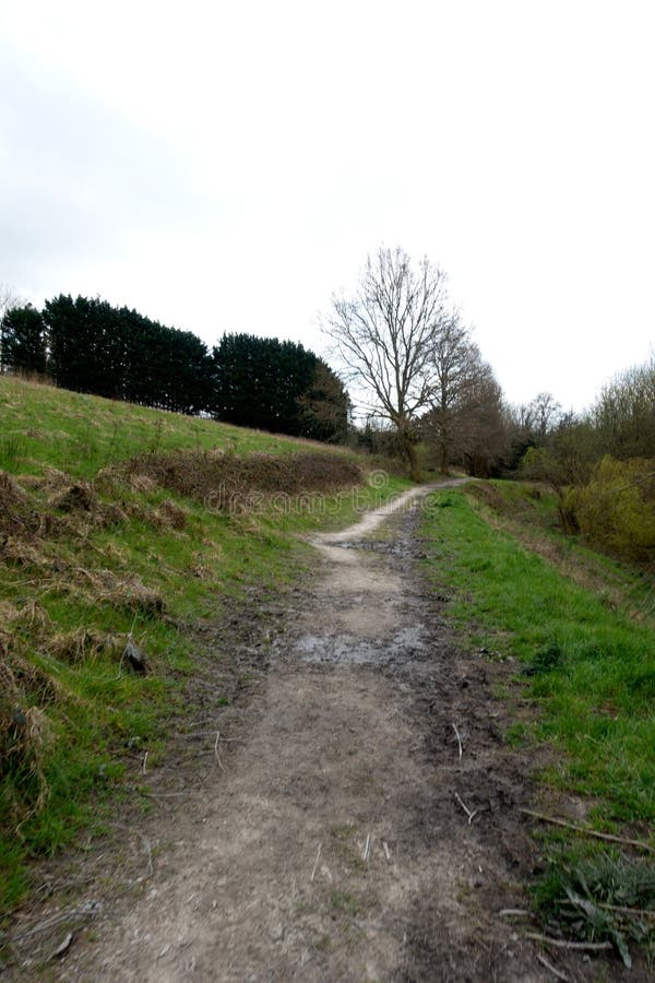 British Woodland Scenery Walk through a Walking Trail with Path Stock ...