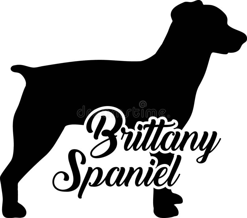 Brittany Spaniel Stock Illustrations – 503 Brittany Spaniel Stock ...