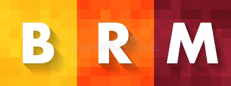 BRM Business Reference Model - Concentrating on the Functional and ...