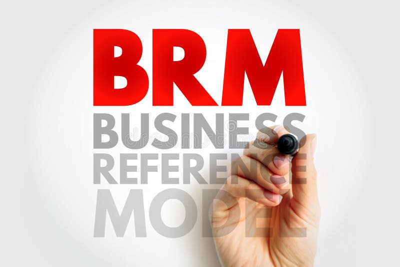 BRM Business Reference Model - Concentrating on the Functional and ...