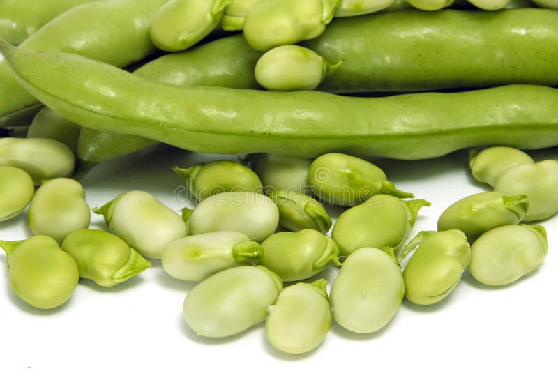 Broad bean stock photo. Image of delicious, fabes, cuisine - 13754248
