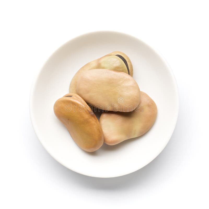Broad bean (fava bean) stock image. Image of vicia, fava - 49935367