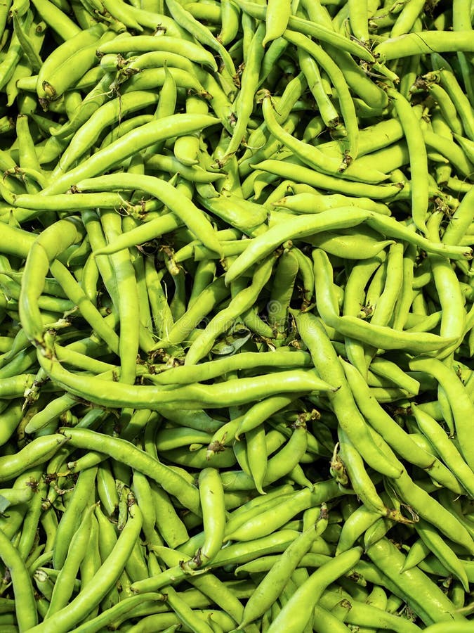 Broad bean on the market stock image. Image of field - 130123247