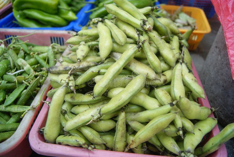 Broad bean stock photo. Image of market, vegetable, still - 41075170
