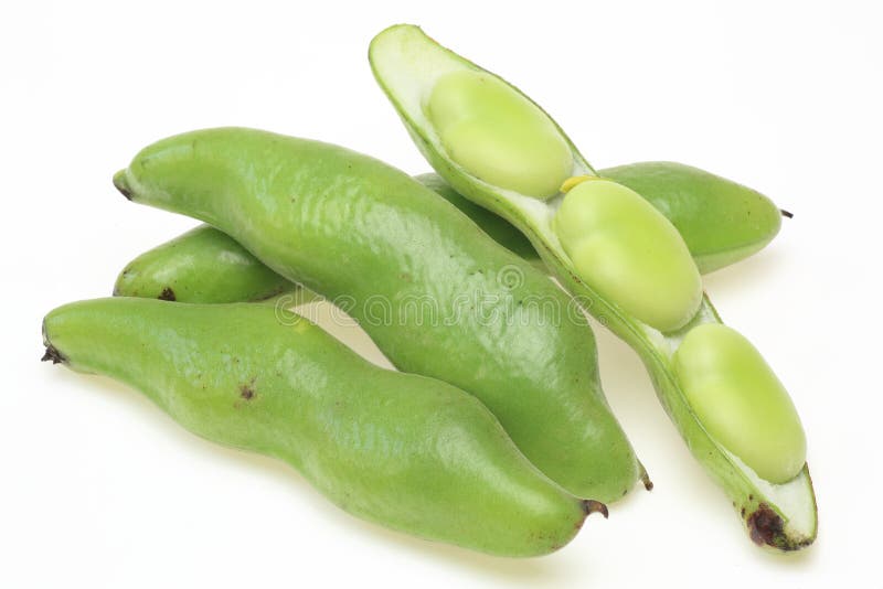 Broad Bean in a White Background Stock Image - Image of background ...