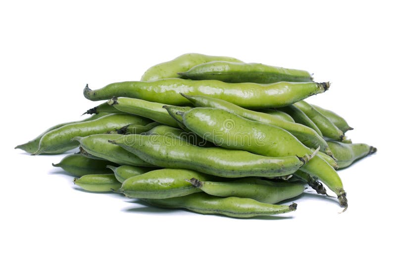 Broad bean stock image. Image of fabes, dinner, bean - 13647205