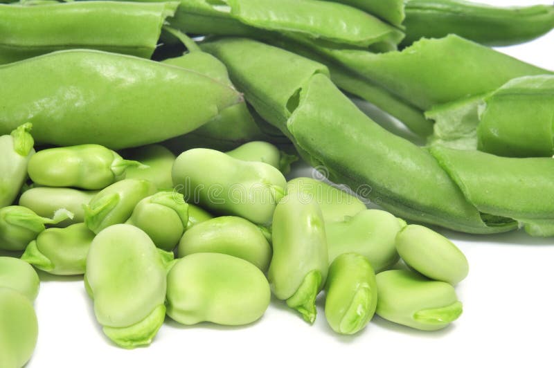 Broad bean stock image. Image of fabes, dinner, bean - 13647205