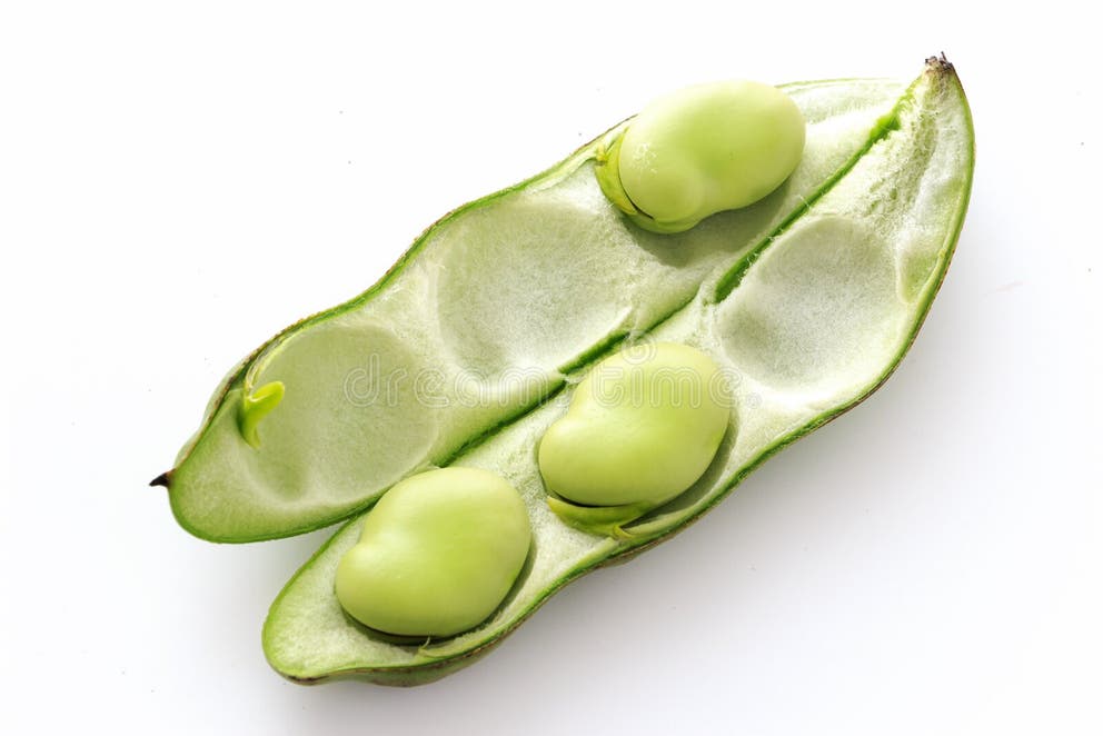 Broad beans stock image. Image of shell, vegan, greens - 54247649