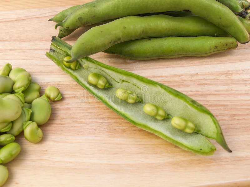 Broad beans being podded stock photo. Image of poddedn - 186567736