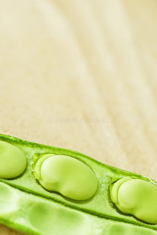 Broad beans stock image. Image of bell, freshness, eating - 39851847