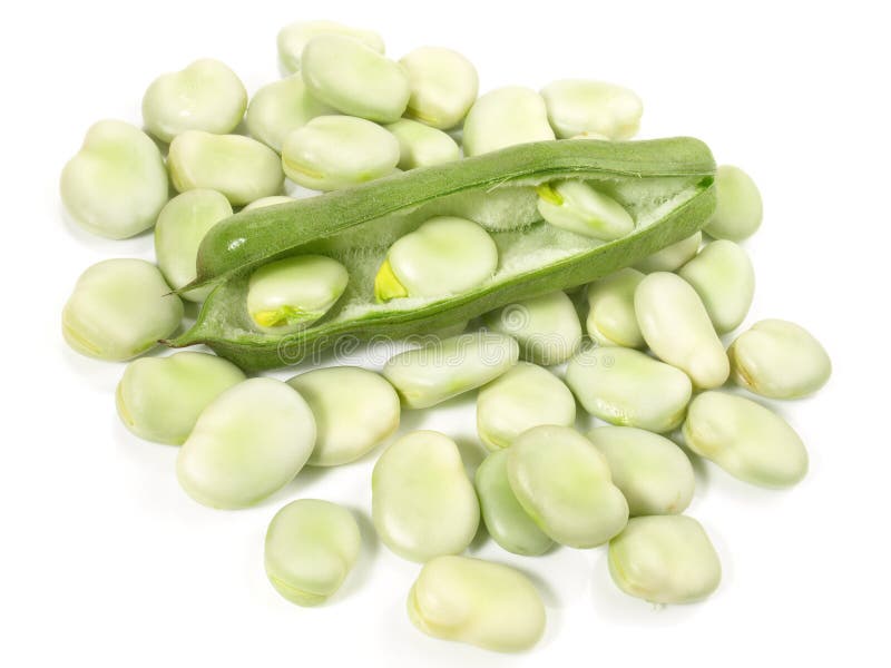 Broad Beans on White Background - Isolated Stock Image - Image of ripe ...