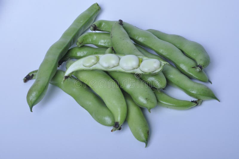 Broad Beans on a White Background Studio Shots Stock Image - Image of ...