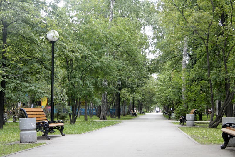 Broad Empty Path in the City Park Stock Image - Image of plant, tree ...