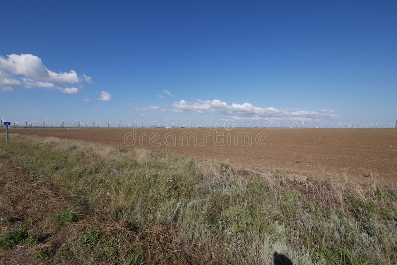 Broad Endless Field Under the Blue Sky on the Background of High ...