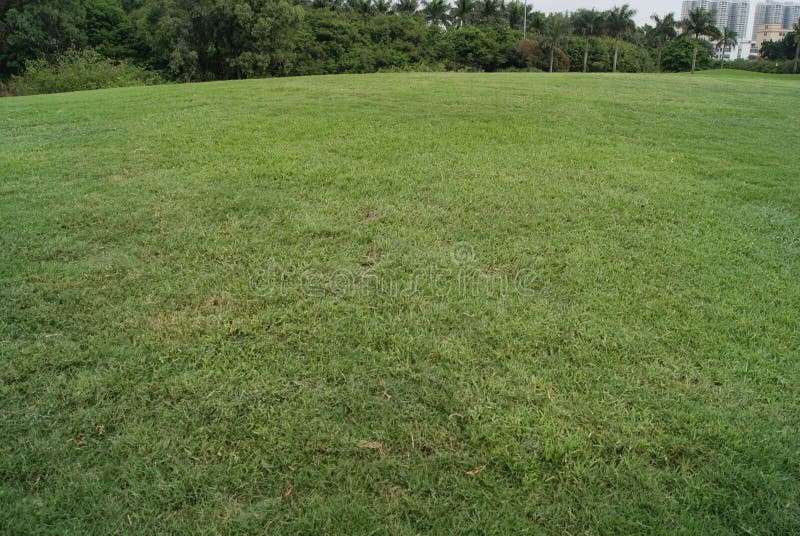 A huge green lawn stock image. Image of field, outdoor - 14197517