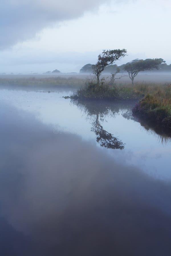 Broad Pool in the mist stock image. Image of dawn, solitary - 21330951