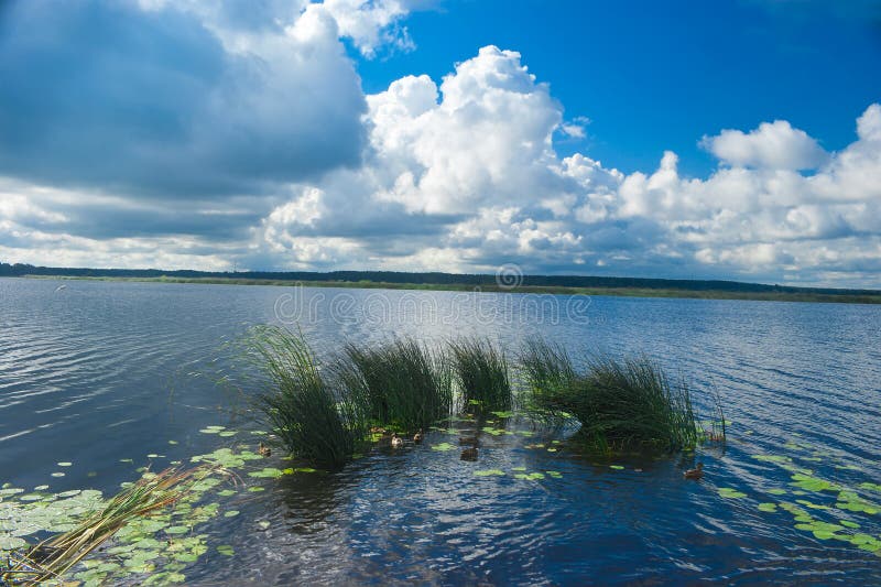 Broad river stock image. Image of environment, green - 38100563