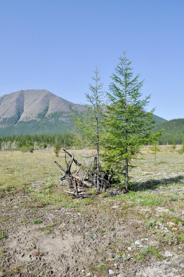 The Broad Valley between the Mountains. Stock Photo - Image of wide ...