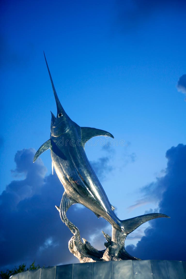 Silver Dania Stock Photos - Free & Royalty-Free Stock Photos from ...