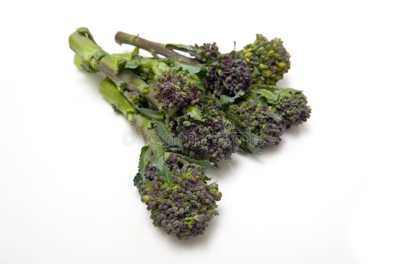 Broccoli Stalk stock photo. Image of green, nature, stem - 35578224